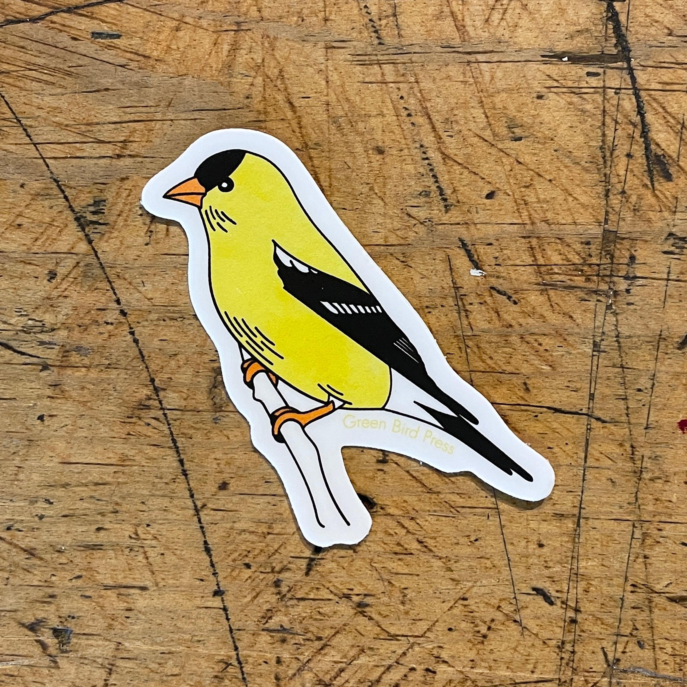 American Goldfinch Sticker – Green Bird Press
