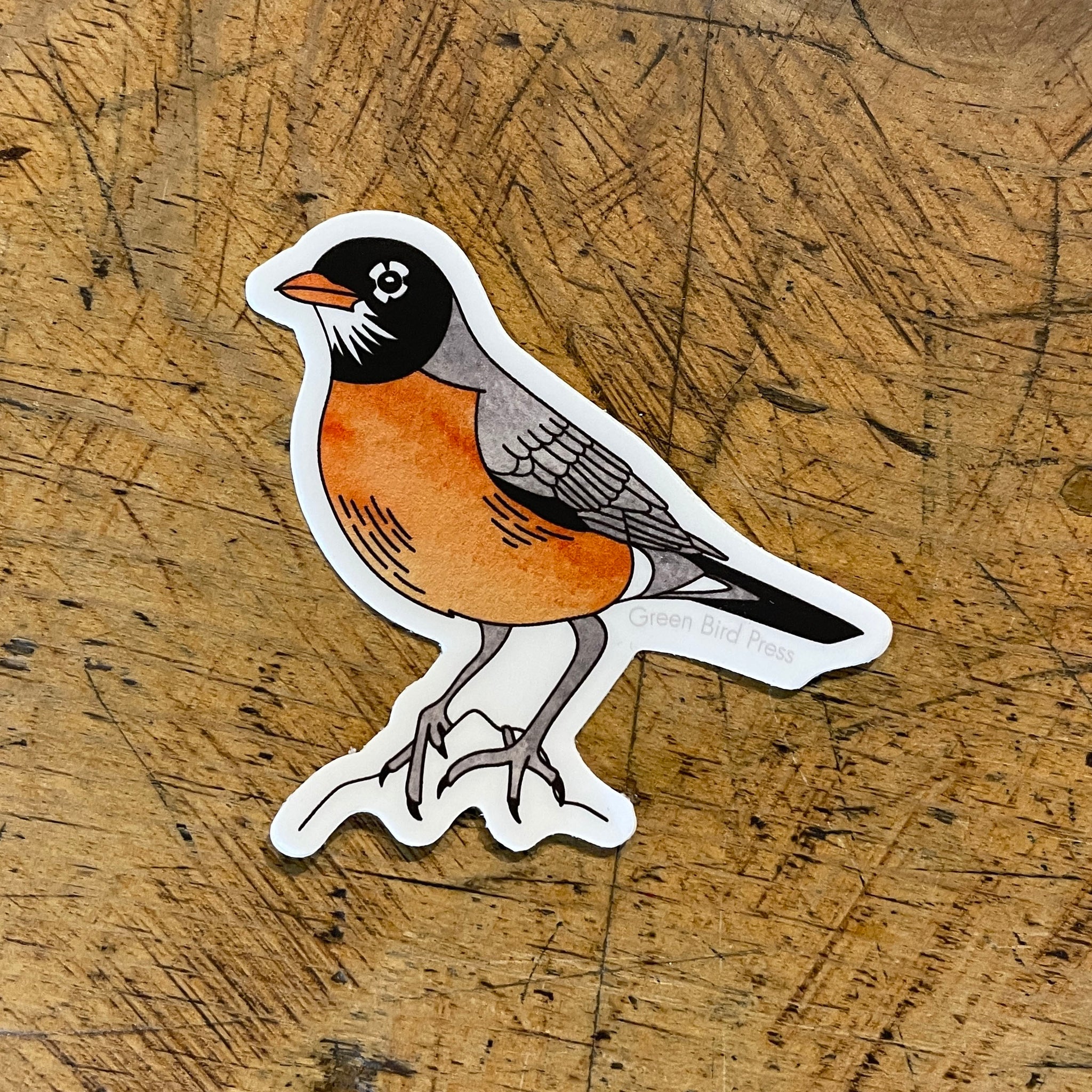 American Robin Sticker – Green Bird Press