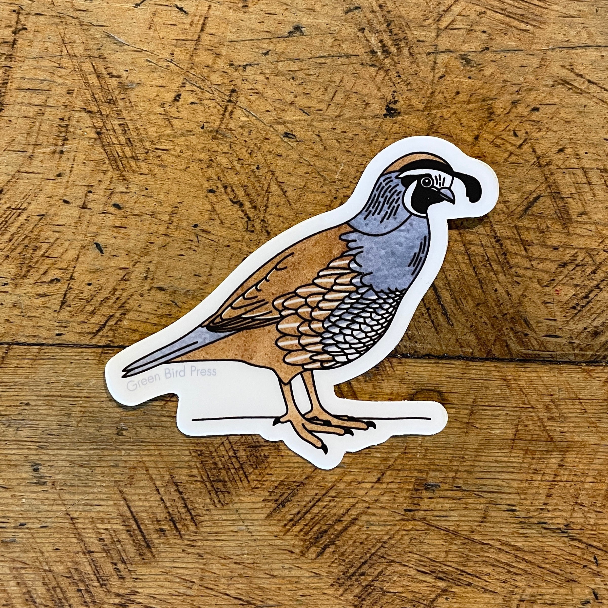 California Quail Sticker – Green Bird Press