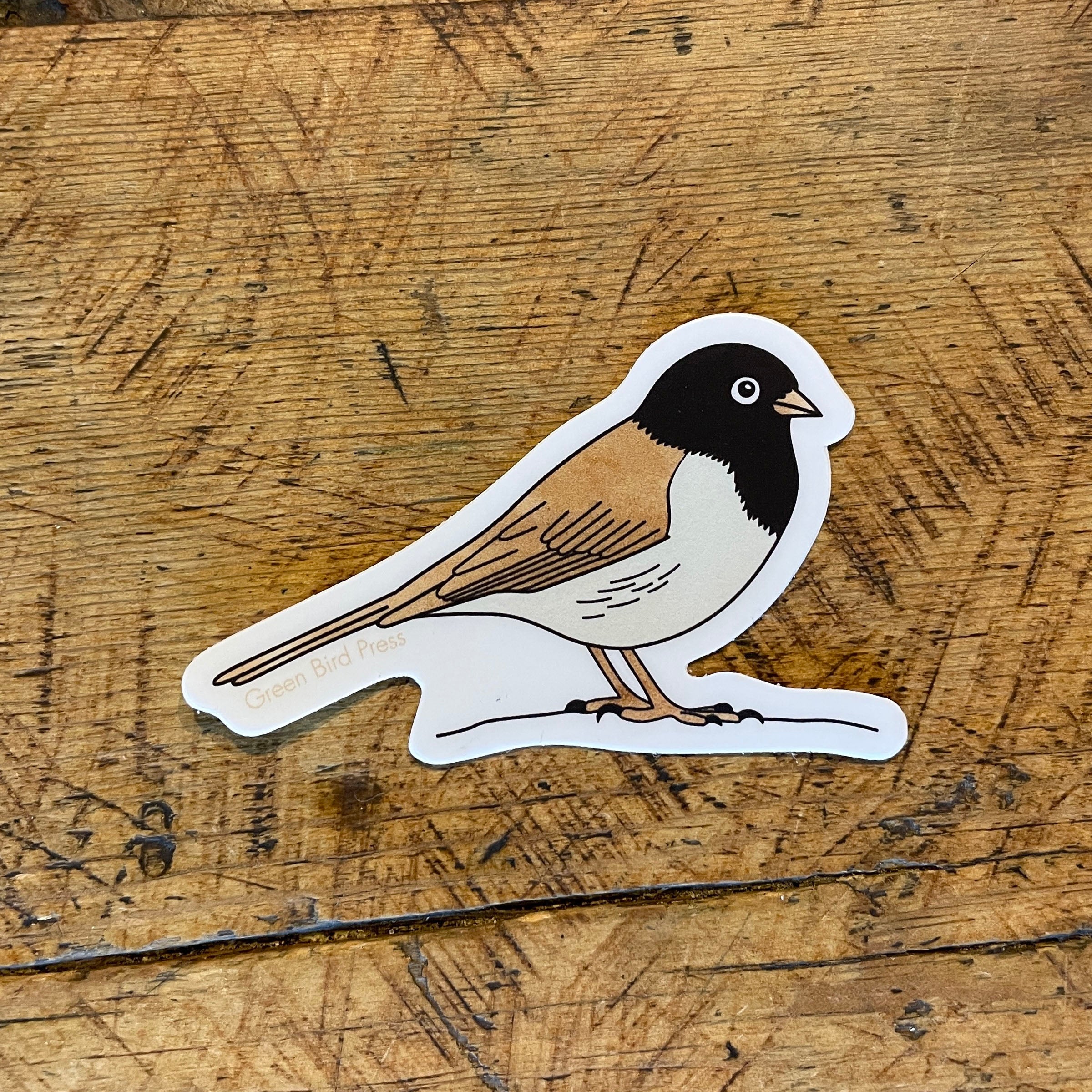 Dark-eyed Junco Sticker – Green Bird Press