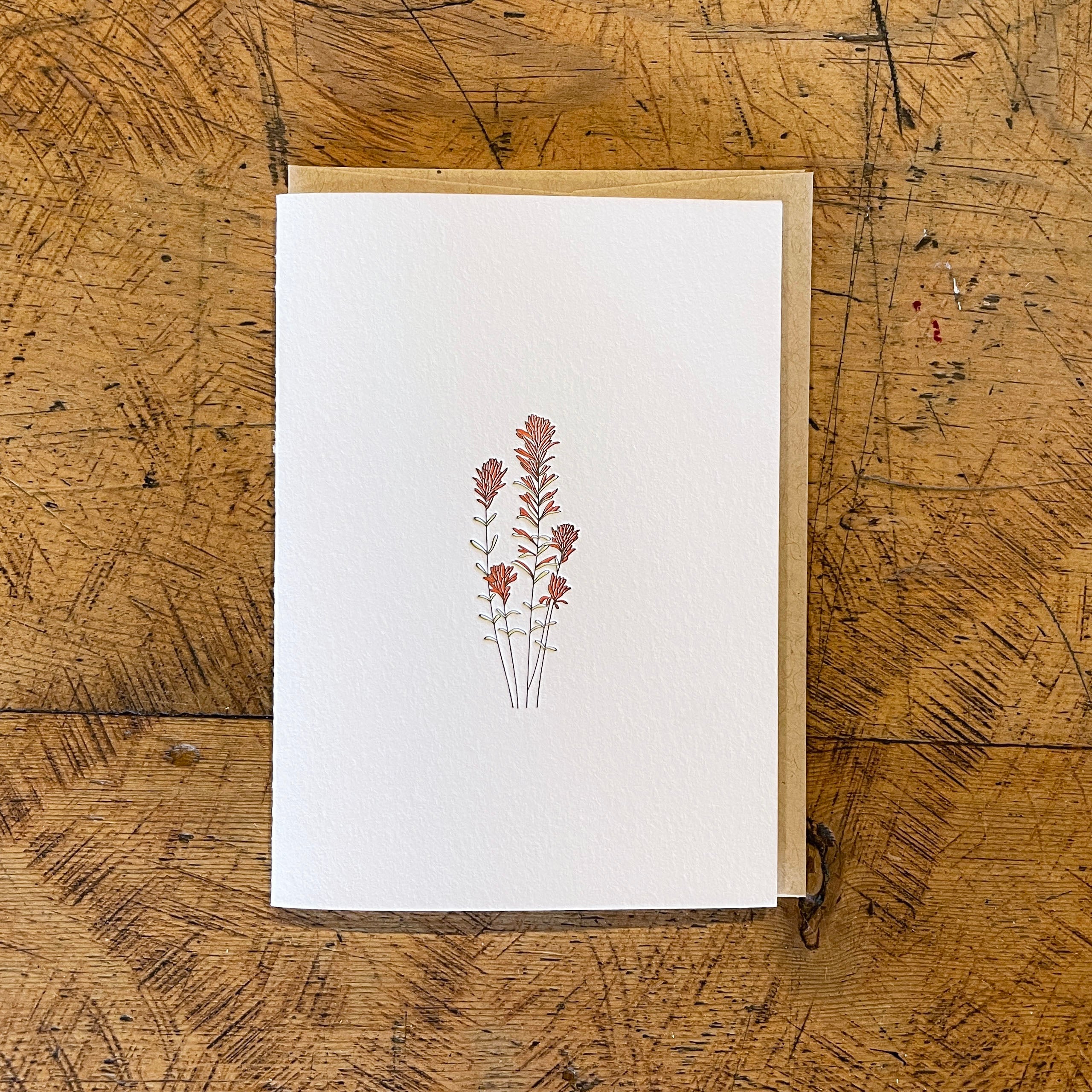 Desert Paintbrush Wildflower Letterpress Card – Green Bird Press