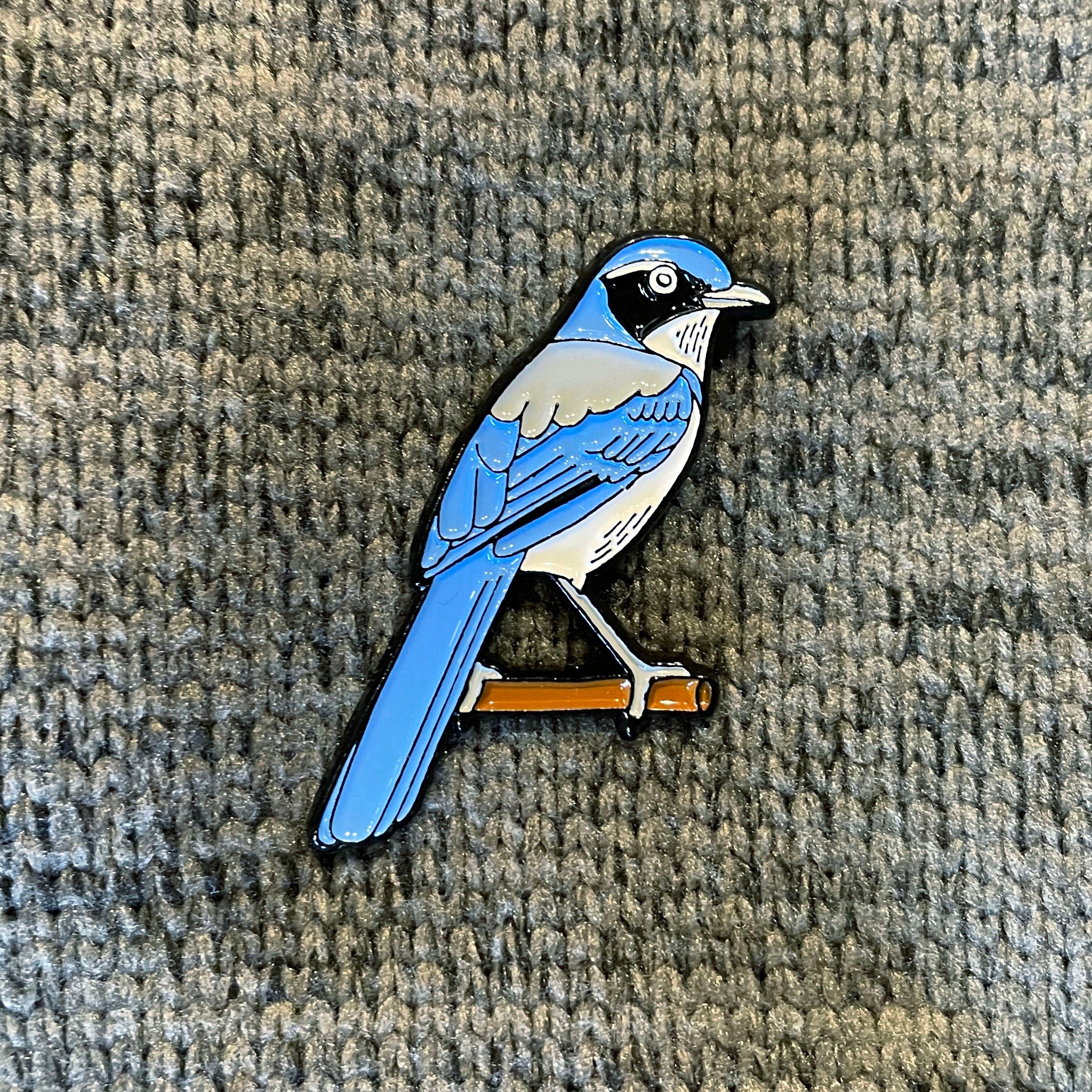 California Scrub Jay Enamel Pin – Green Bird Press