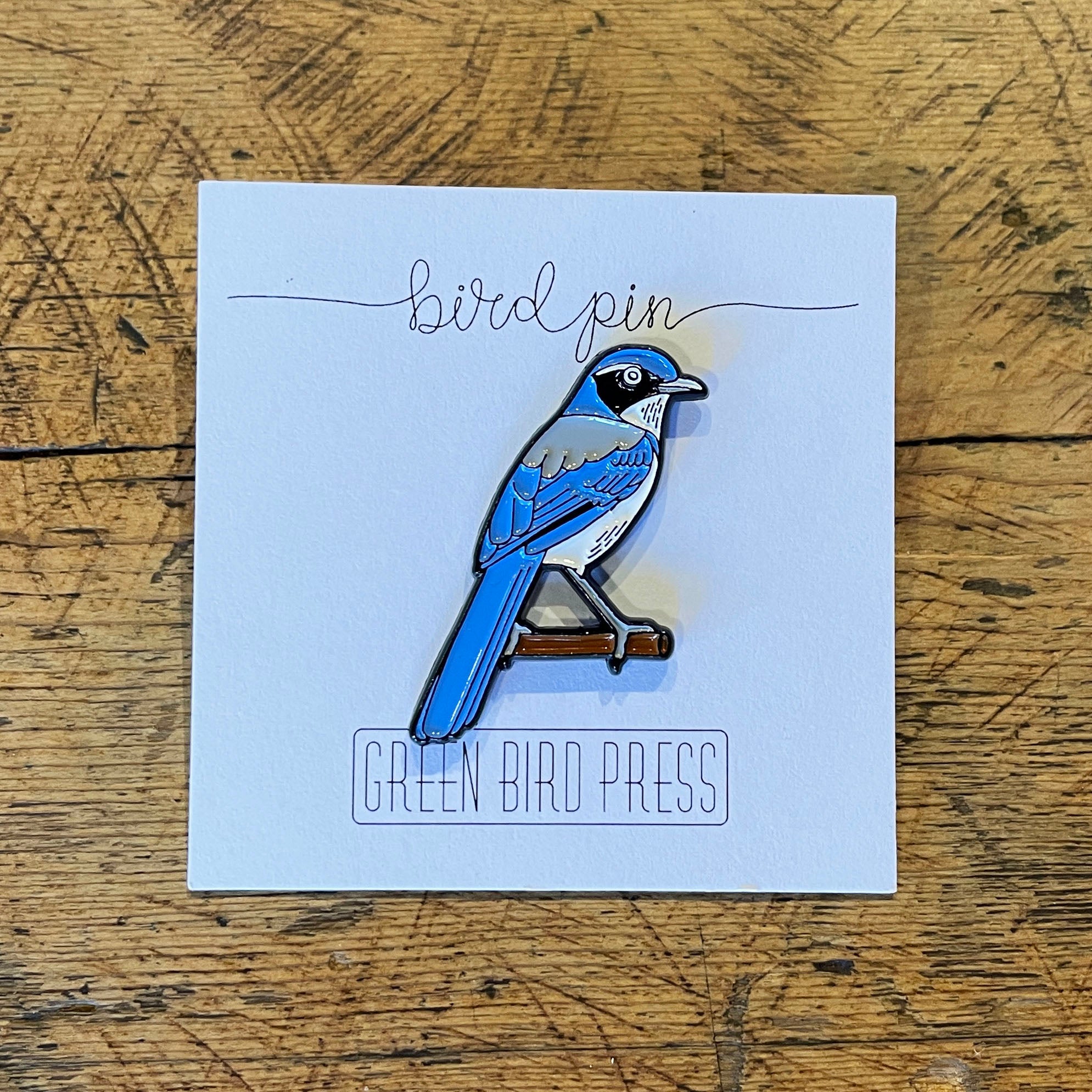 California Scrub Jay Enamel Pin – Green Bird Press