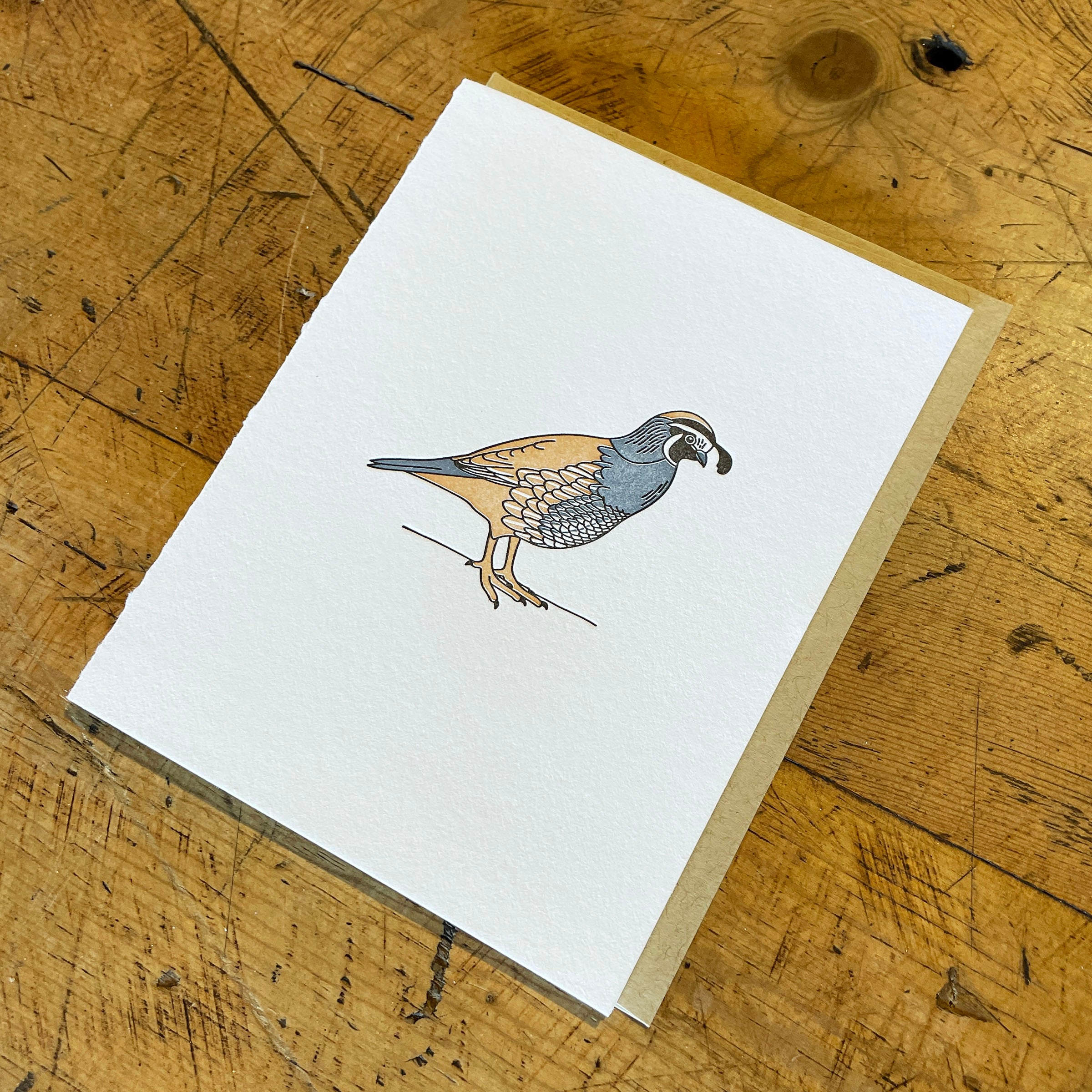 California Quail Letterpress Card – Green Bird Press