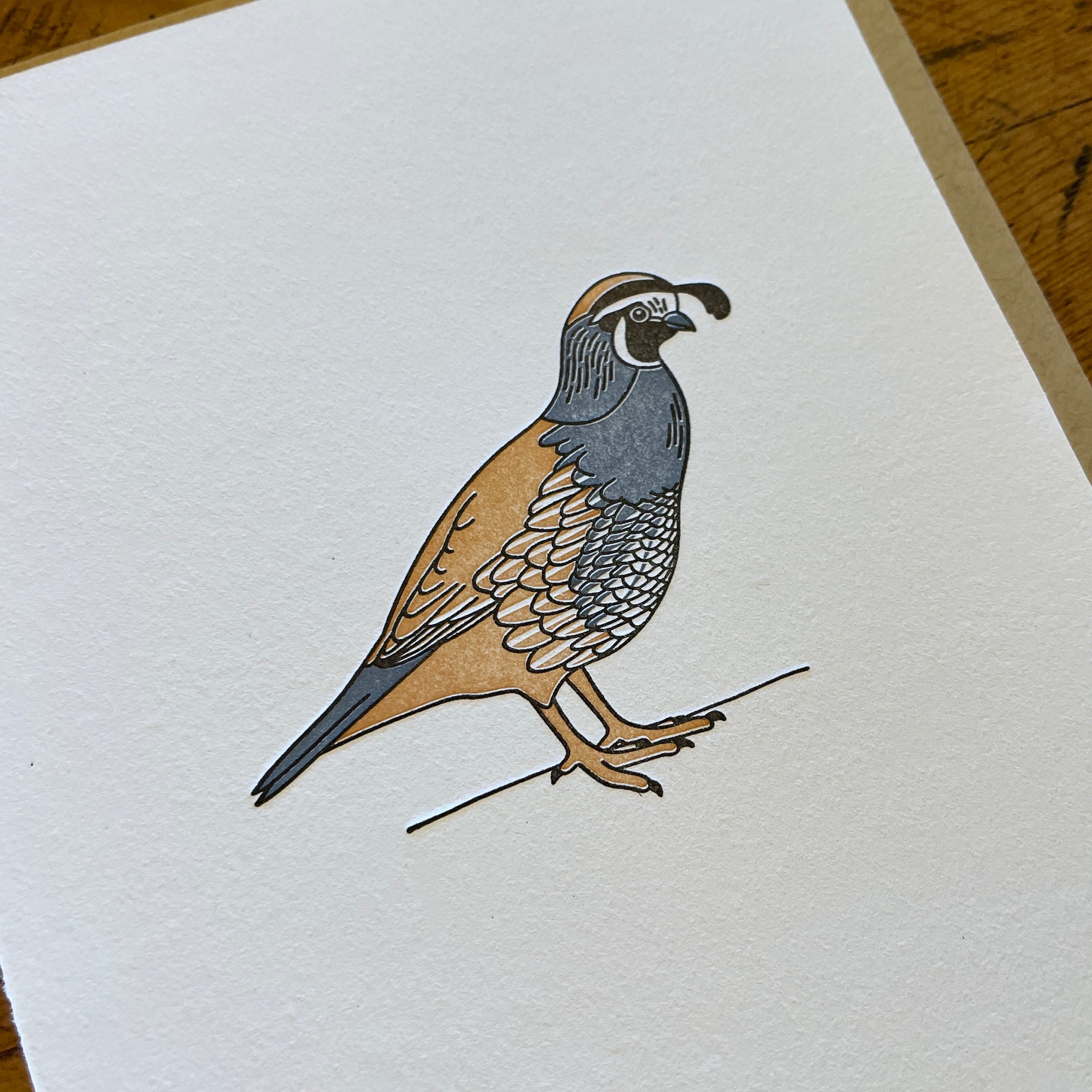 California Quail Letterpress Card – Green Bird Press