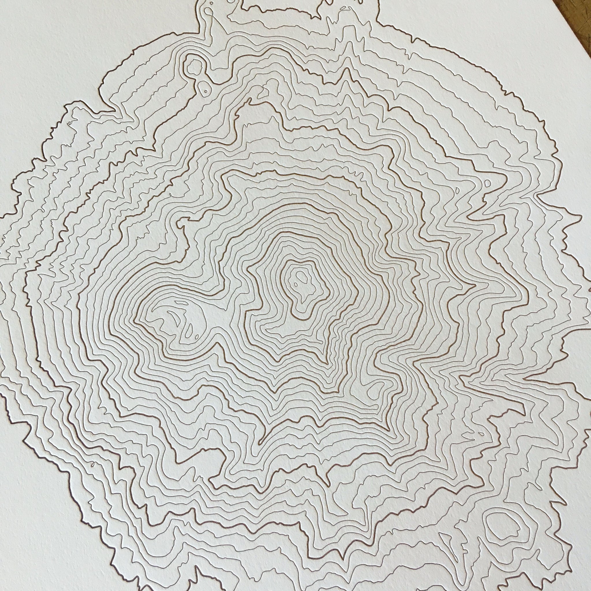 Mount Shasta Topographic Map Letterpress Print – Green Bird Press