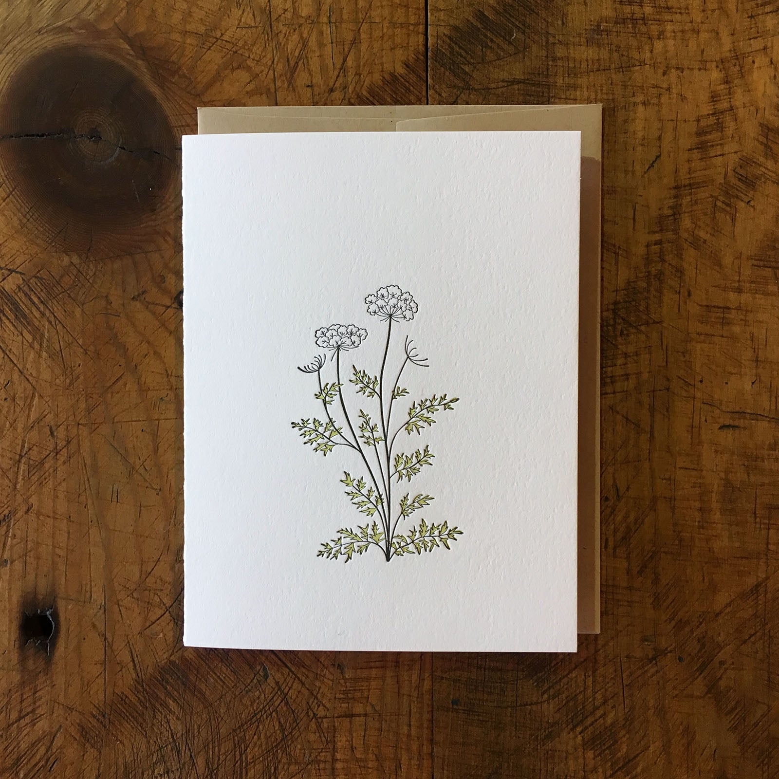 Queen Anne's Lace Wildflower Letterpress Card – Green Bird Press